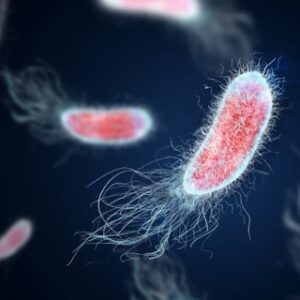 The Ultimate Guide to Mold vs Mildew: What is the Difference? | Howard ...