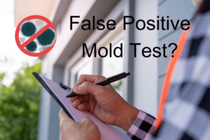 13 Surprising Factors That Can Trigger a False Positive (Why Mold Tests ...