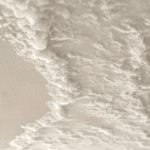 The Ultimate Guide to Mold vs Mildew: What is the Difference? | Howard ...